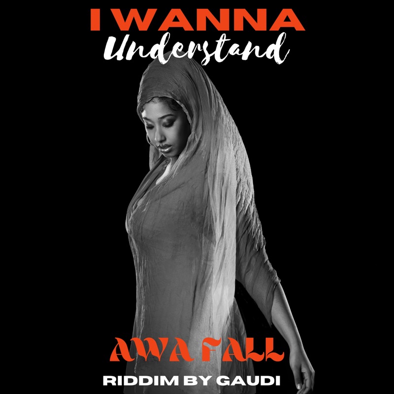 Release: Awa Fall feat. Gaudi - I Wanna Understand