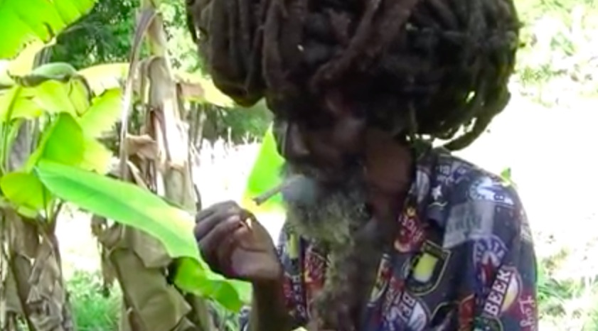 Rastafarian Smoking Weed