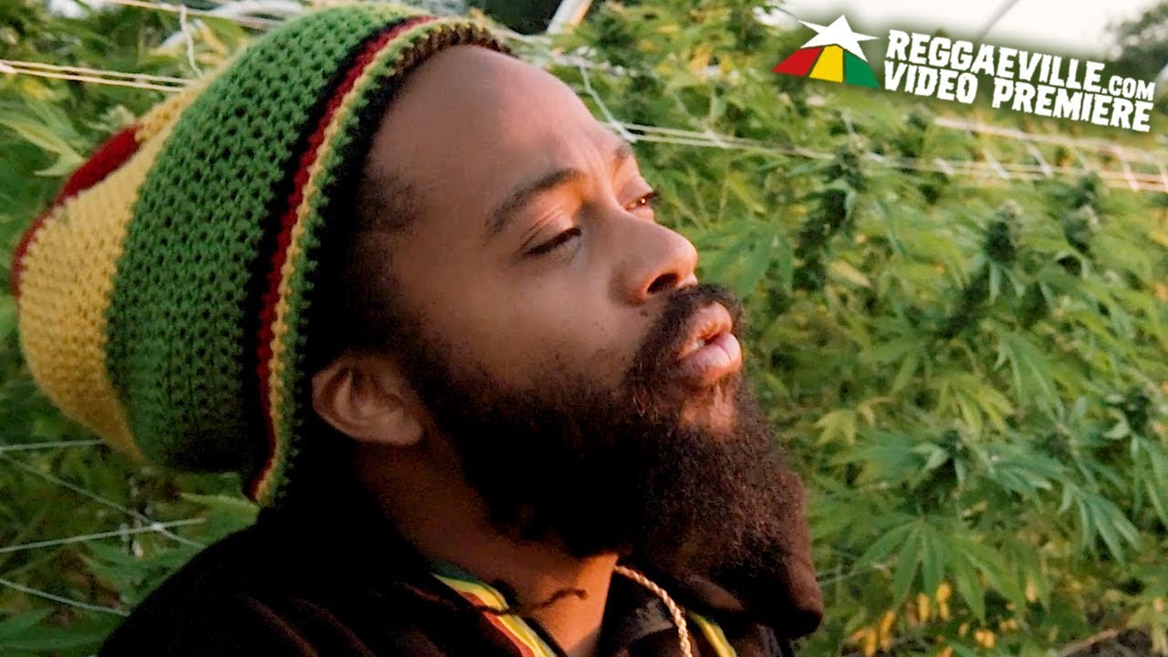 Video: Blaze Mob - Jah Provide A Way 4/20/2019