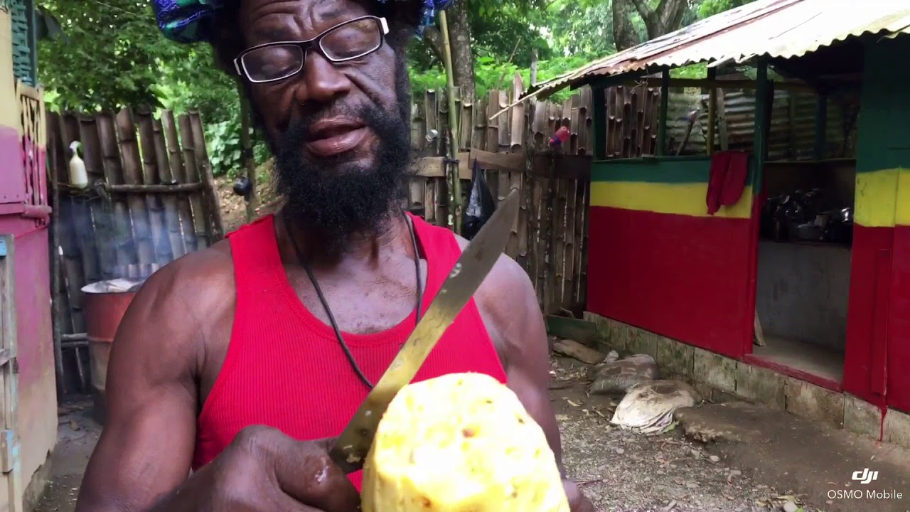 Video: Ras Kitchen feat. Ratty - How To Eat Jamaican Jackfruit 8/12/2017
