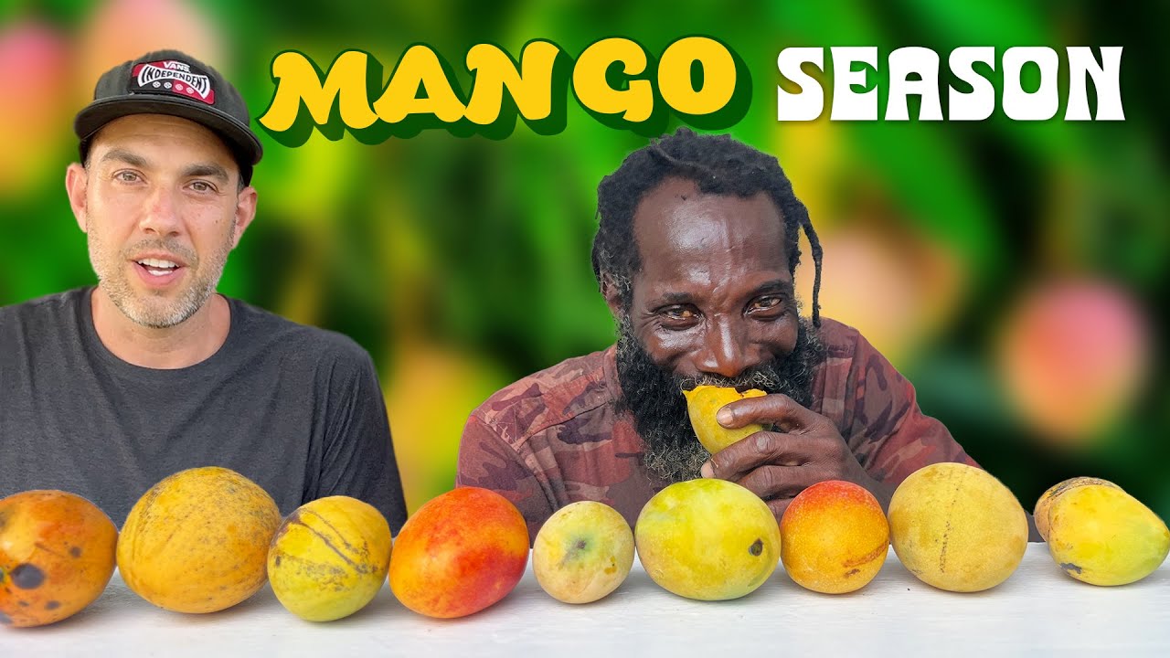 Video: Ras Kitchen - The Ultimate Mango Mission & Taste Test with Rasta ...